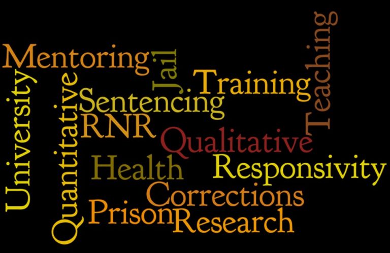 What We Do – The Center for Advancing Correctional Excellence! (ACE!)
